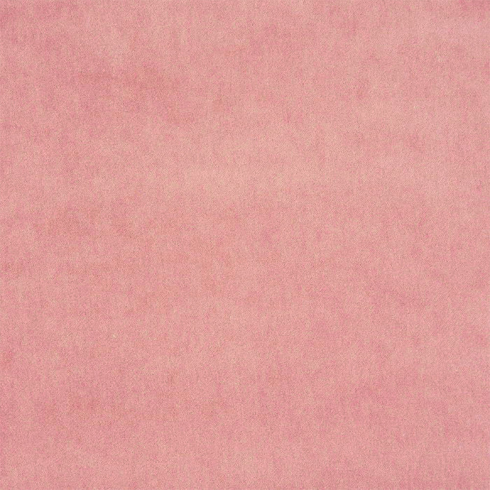 Front fabric | Prof Office